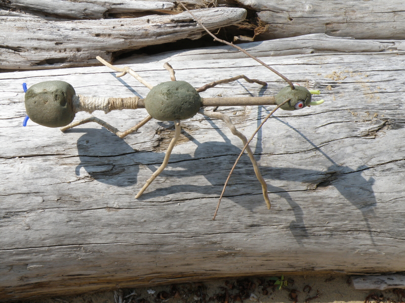 Fantastic Phasmid and Other Bugs | Artist at Exit 0 Riverblog