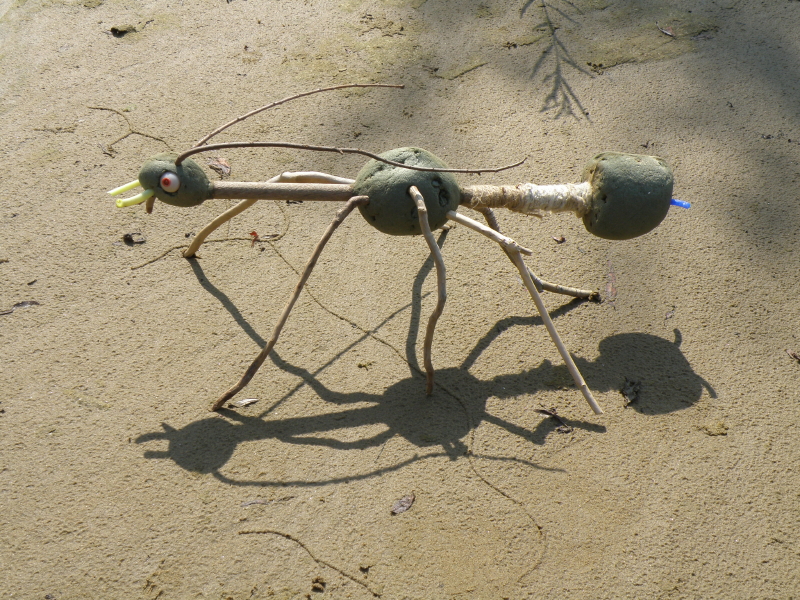 Fantastic Phasmid and Other Bugs | Artist at Exit 0 Riverblog